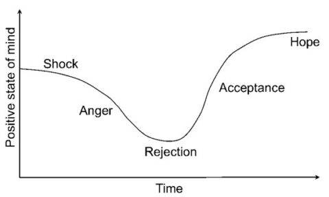 The Business Change Lifecycle–Implementation and Realisation